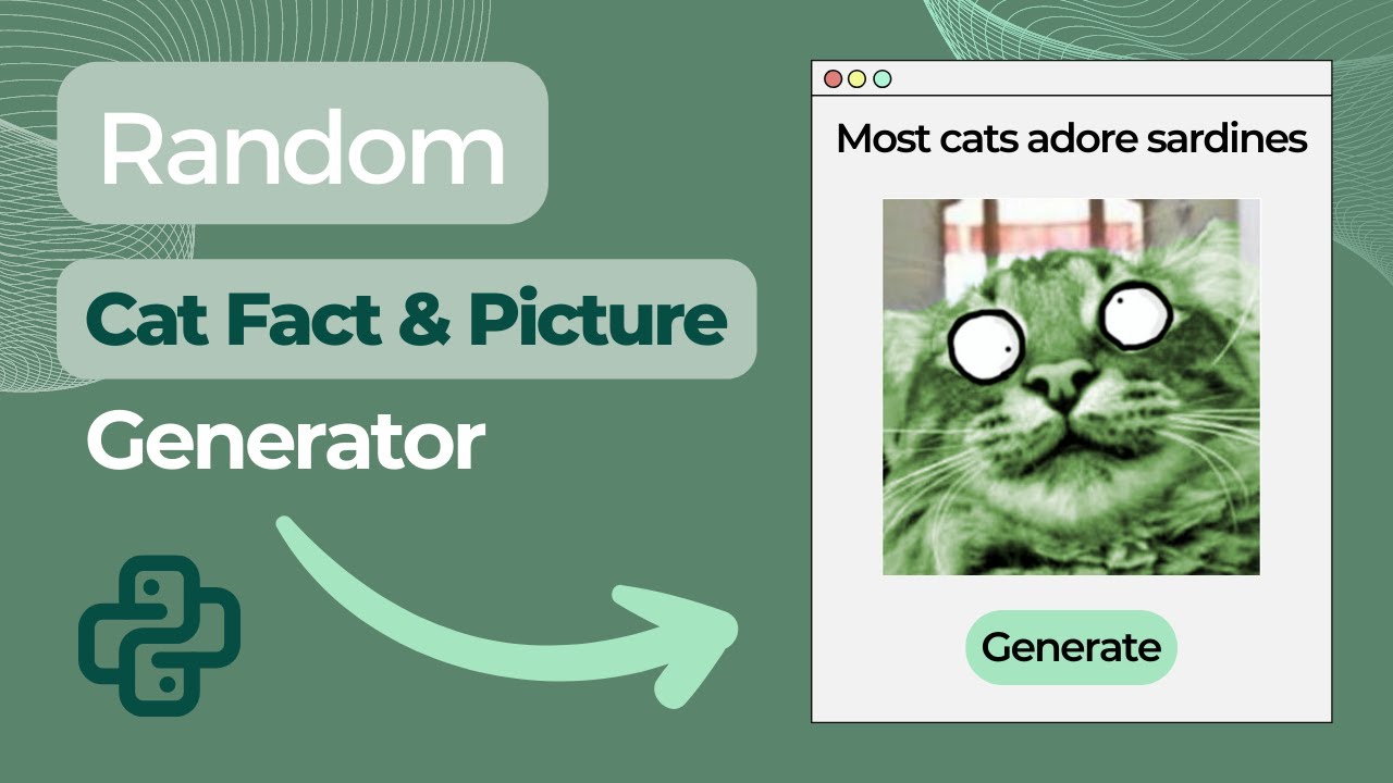 Random Cat Fact And Picture Generator Python Tutorial Youtube
