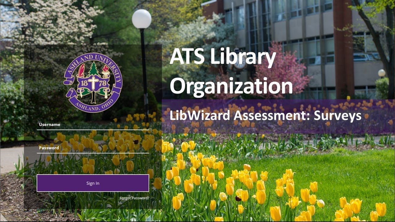 Libwizard Assessment Survey Example Youtube