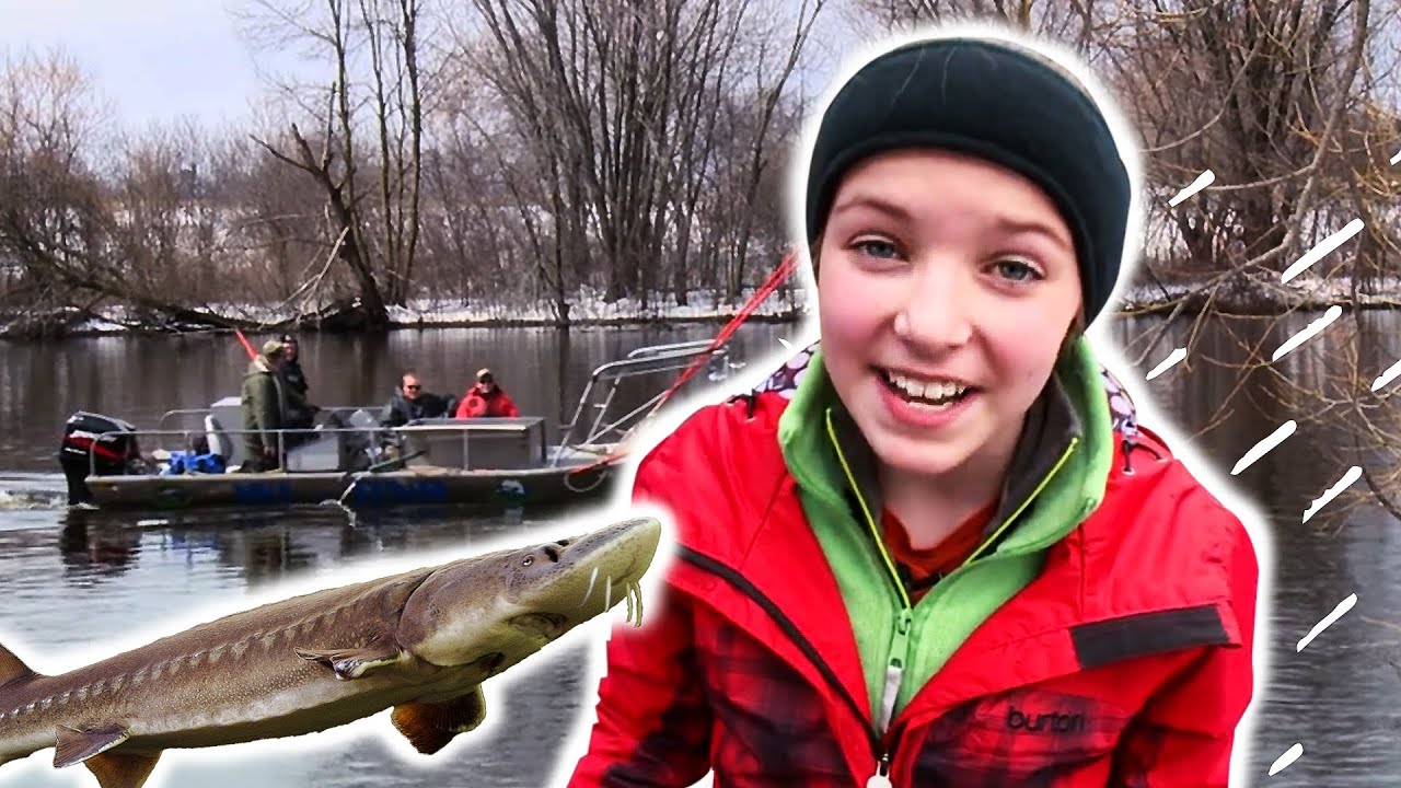Sturgeon Conservation Youtube