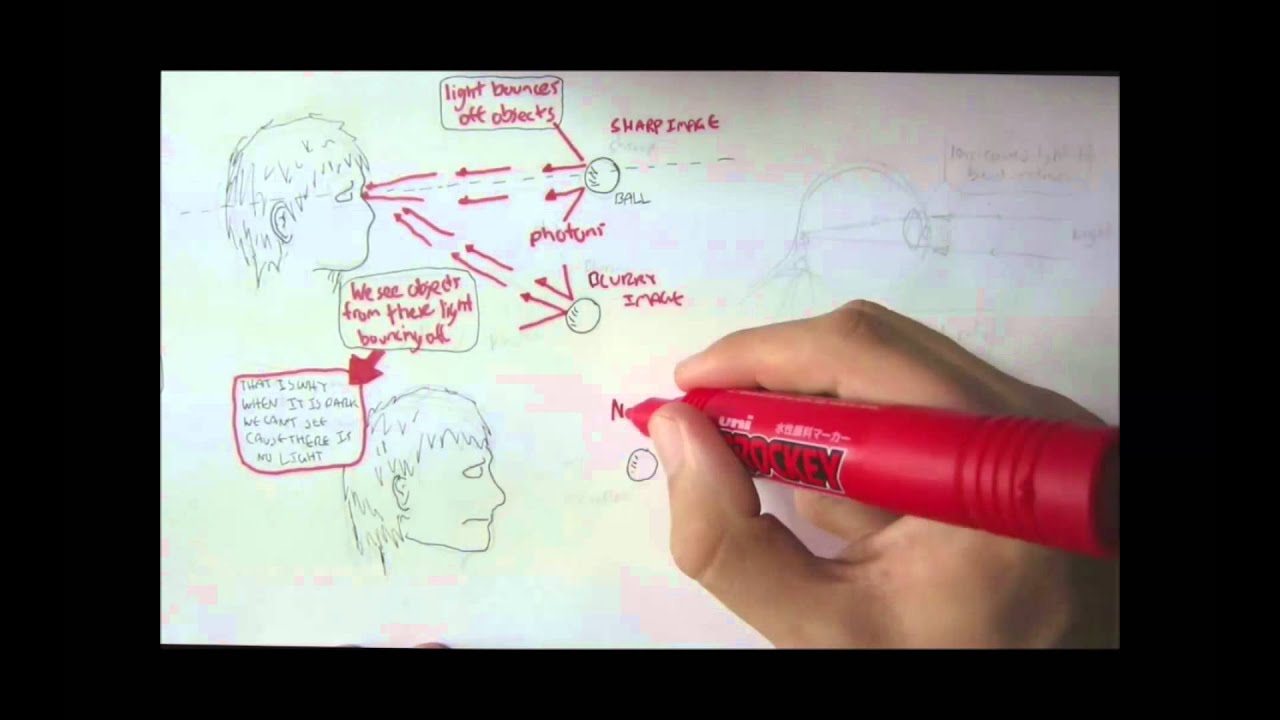 Vision Physiology Introduction Youtube