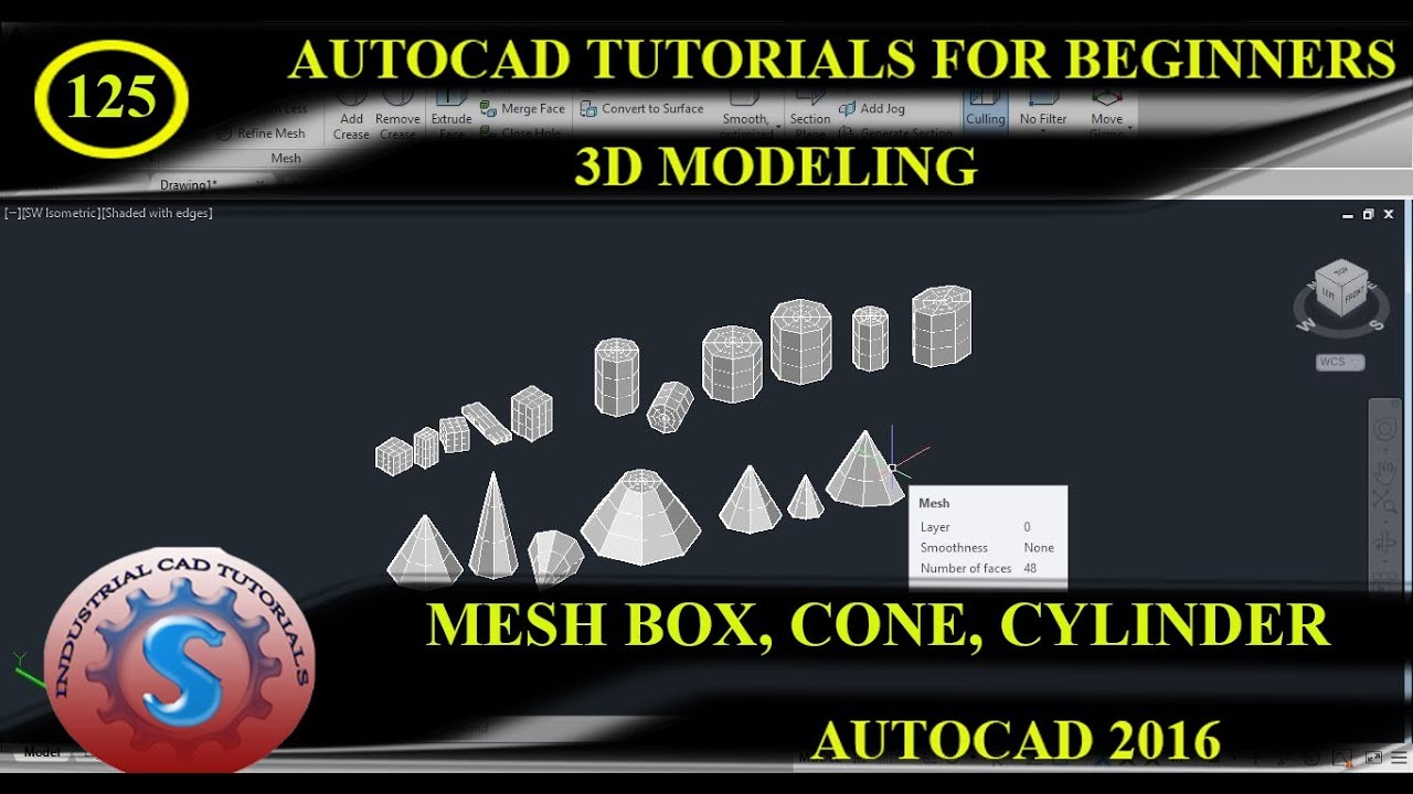 Mesh Box Cone Cylinder Basic Tutorials For Beginners Auto
