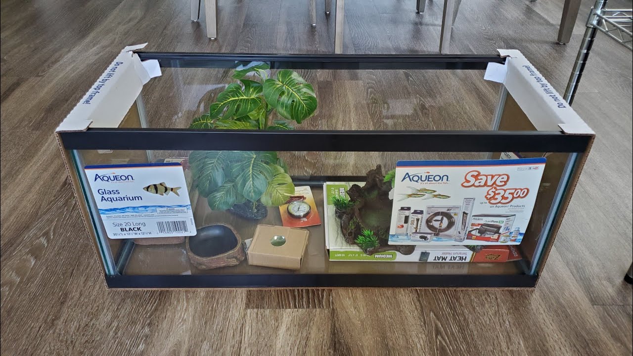 Hermit Crab Tank 2 Setup Youtube