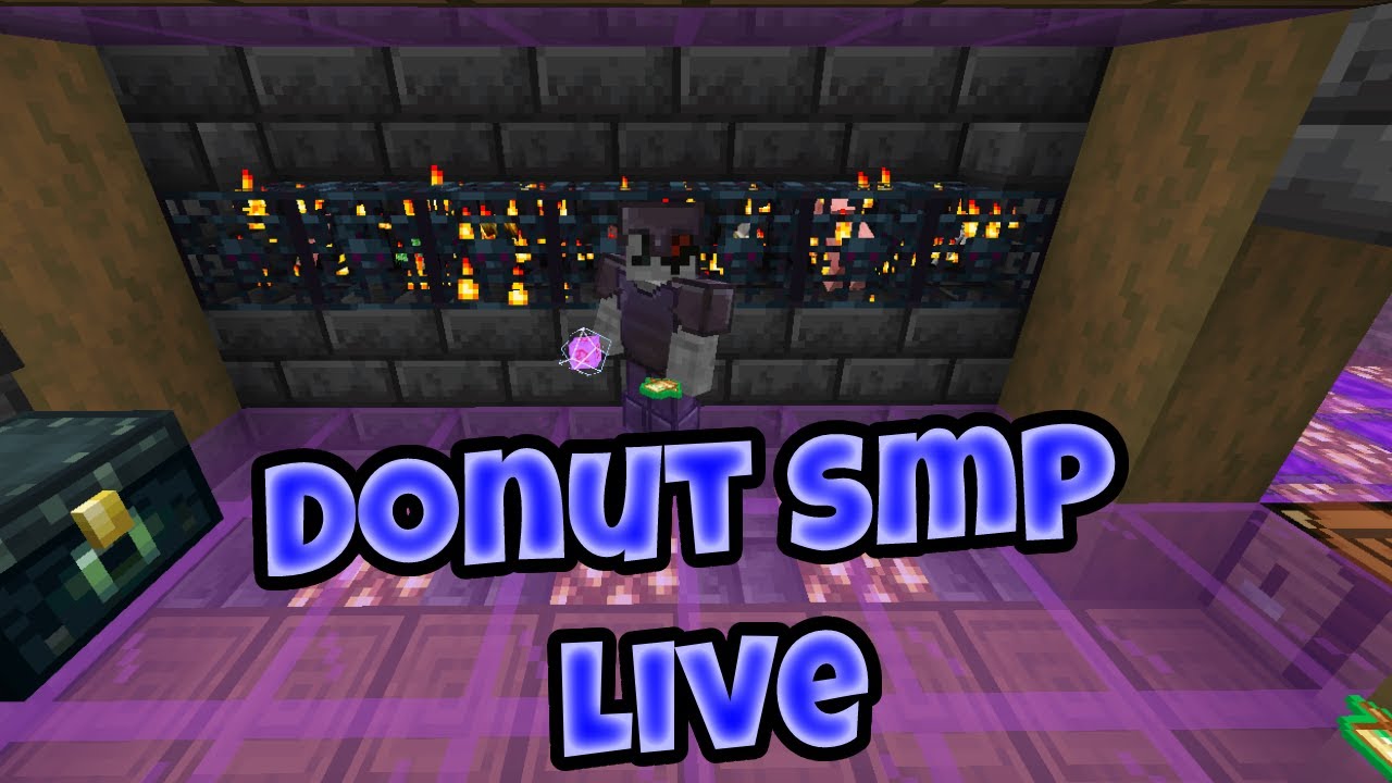 Playing Donut Smp Live With Viewers Giveaways Youtube