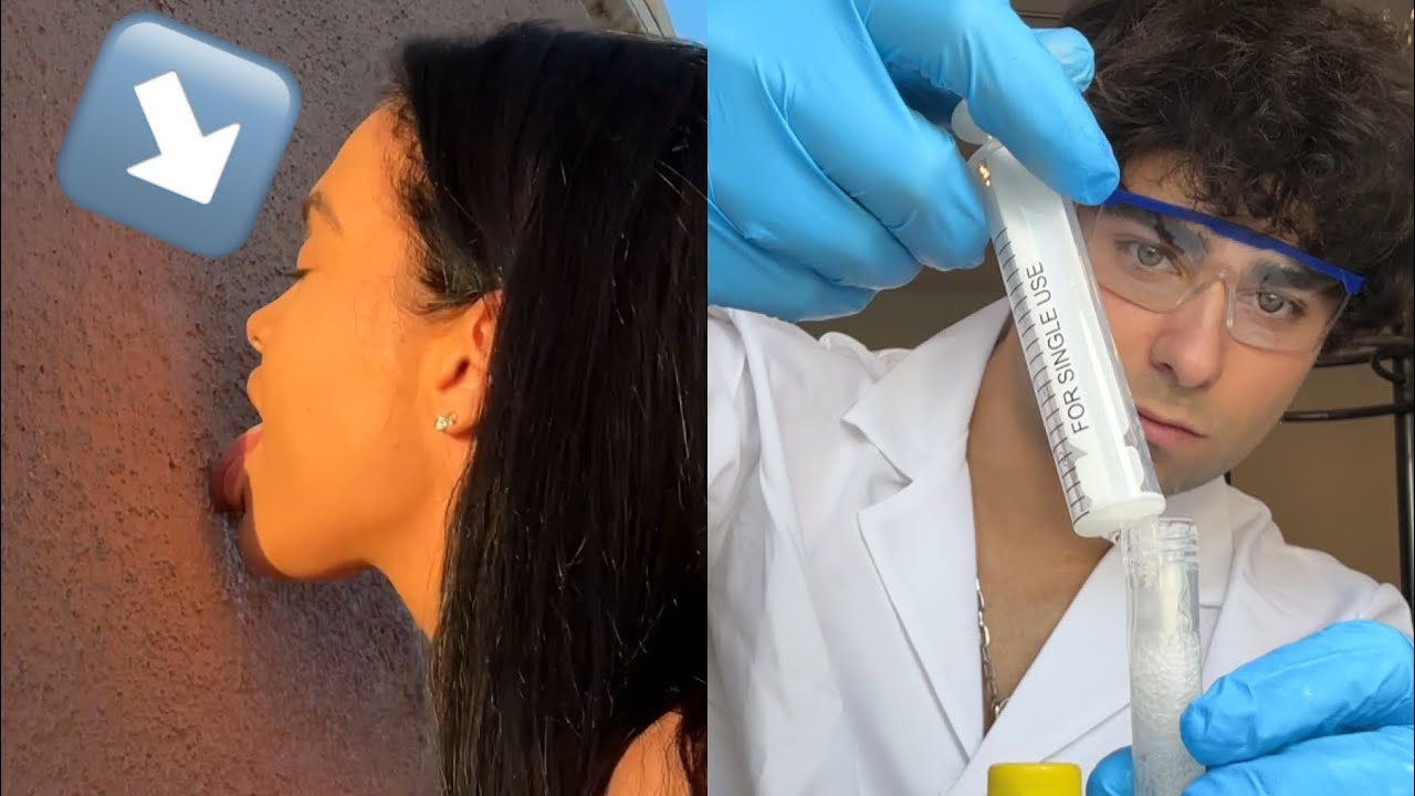 Dna Cloning Lab At Bill Henson Blog