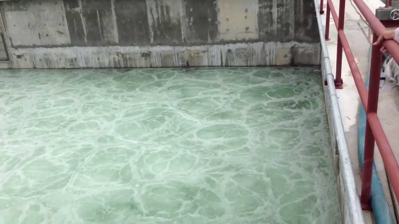 Air Blower Testing In Aeration Tank B Youtube