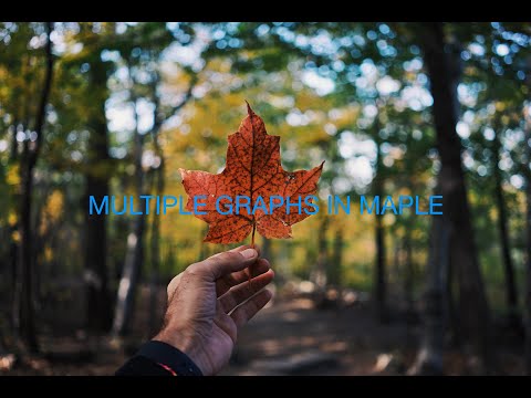 How To Plot Multiple Graphs In Same Figure Maple