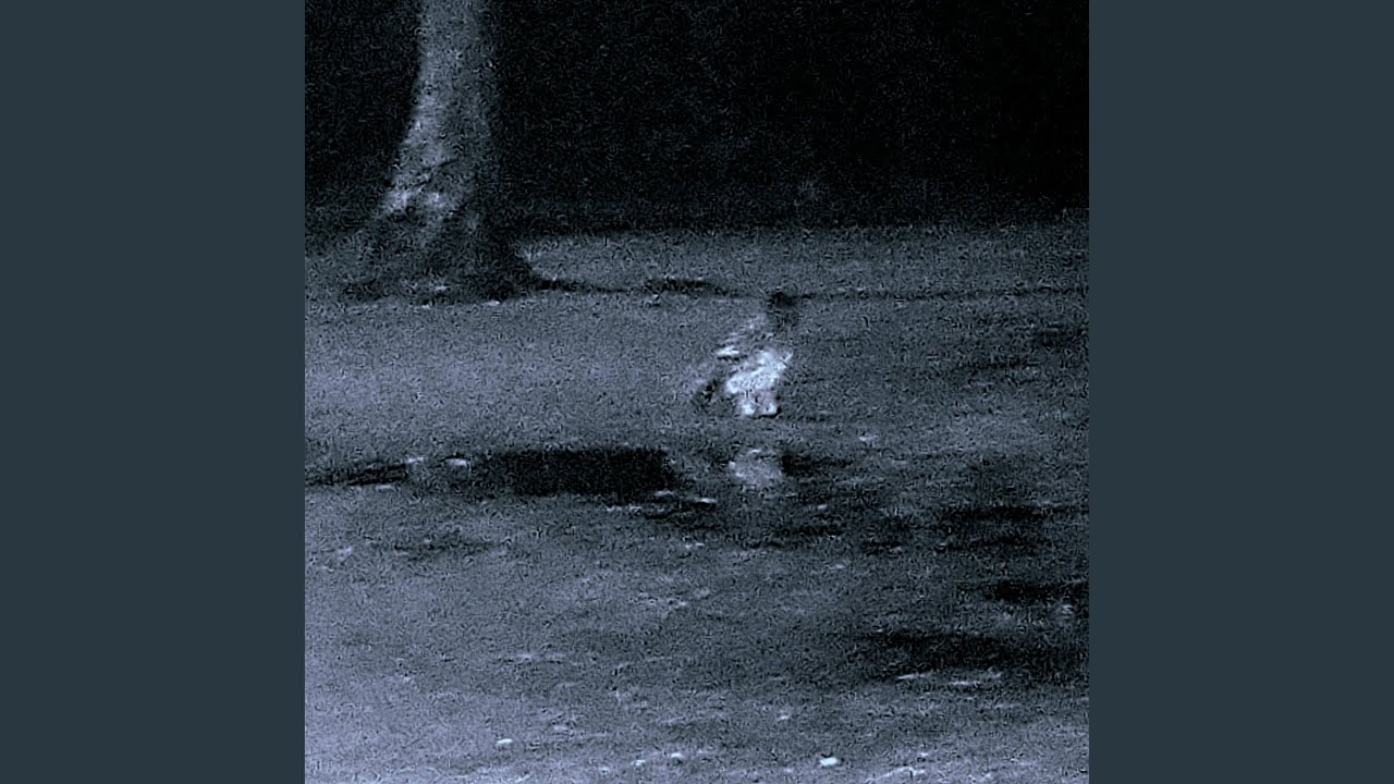 Midnight Youtube Music