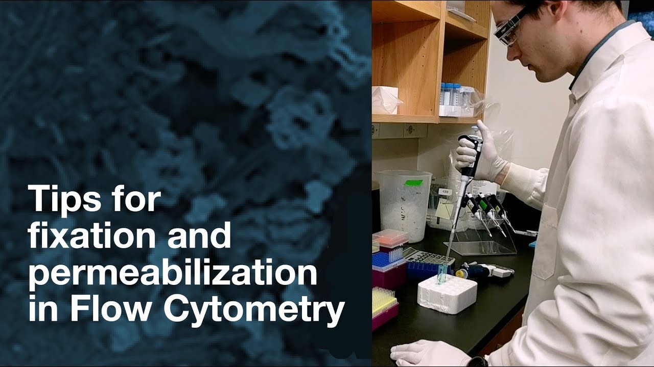 Flow Cytometry Tips For Fixation Permeabilization Cst Tech Tips