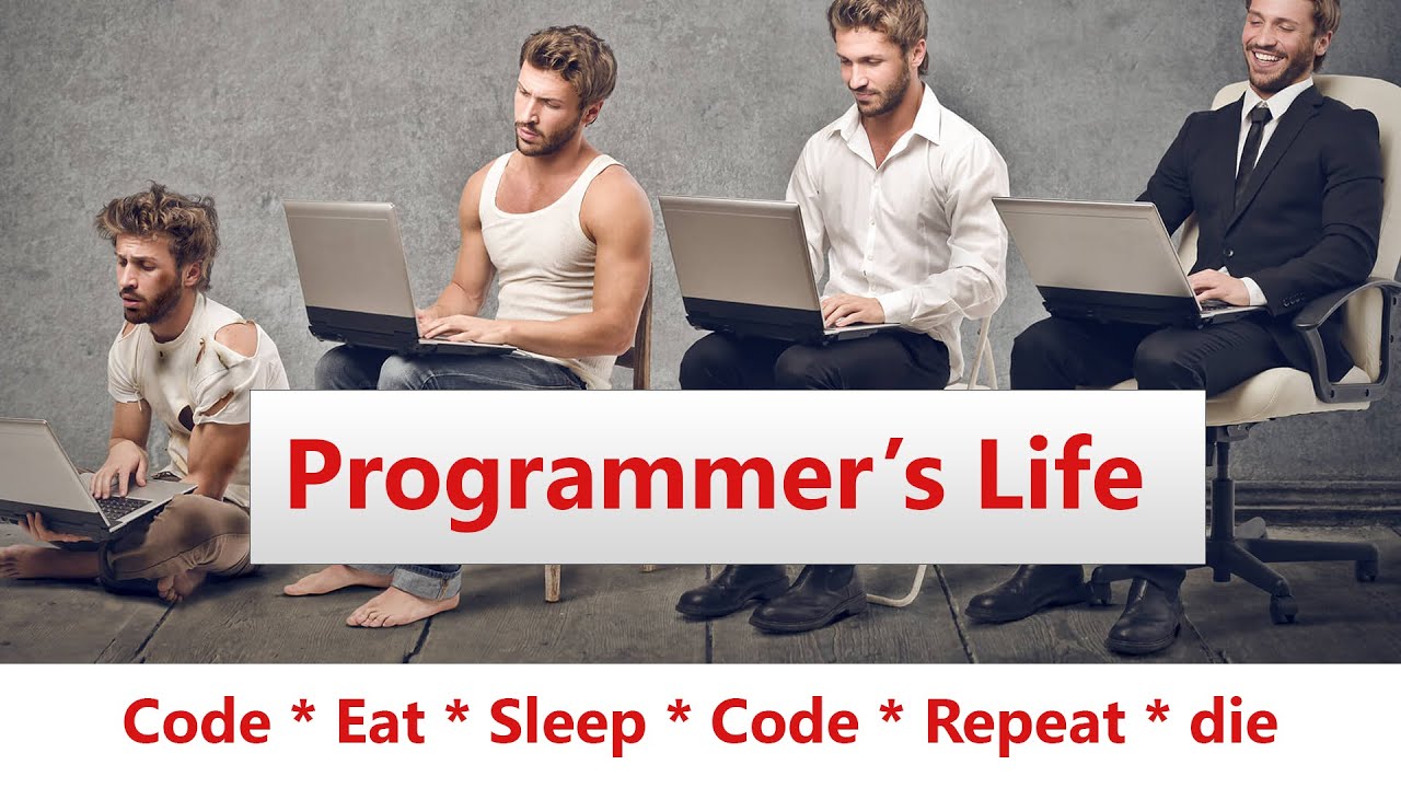 Programmer S Life Cycle Youtube
