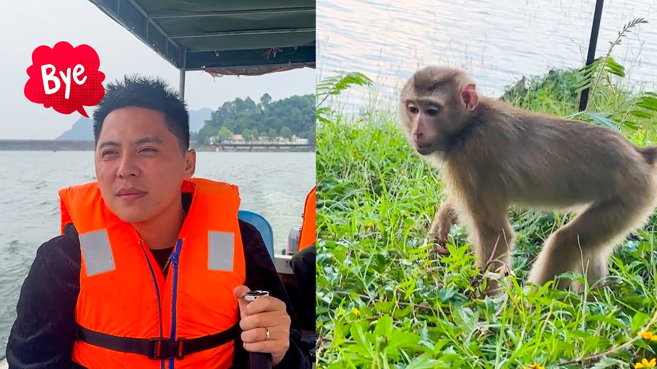 Heartbreaking Dad S Goodbye To Monkey Kaka Youtube