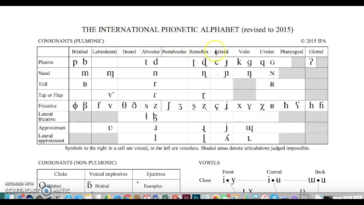 Linguistics Consonant Chart International Phonetic Alphabet