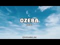 Rema Ozeba Lyrics Translation And Analysis Lyrics Translation Analysis ...