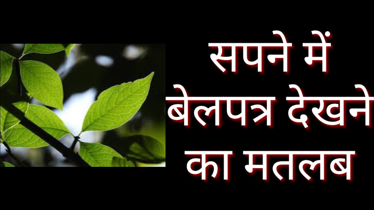 सपन म ब लपत र द खन Sapne Me Belpatra Dekhna Sapne Me Belpatra