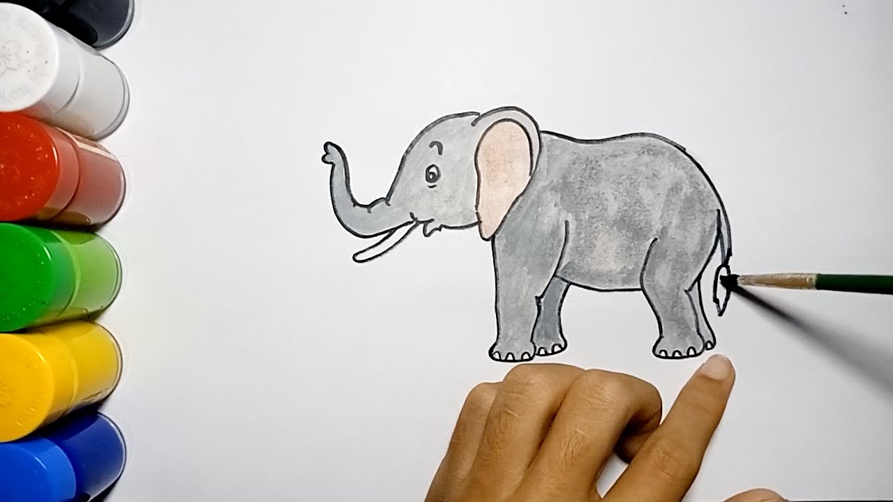 Cara Menggambar Gajah Untuk Pemula How To Draw Elephant Step By Step