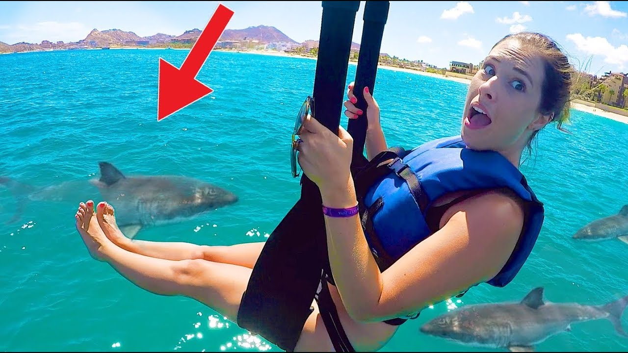Parasailing Over Shark Infested Waters 亞 Youtube