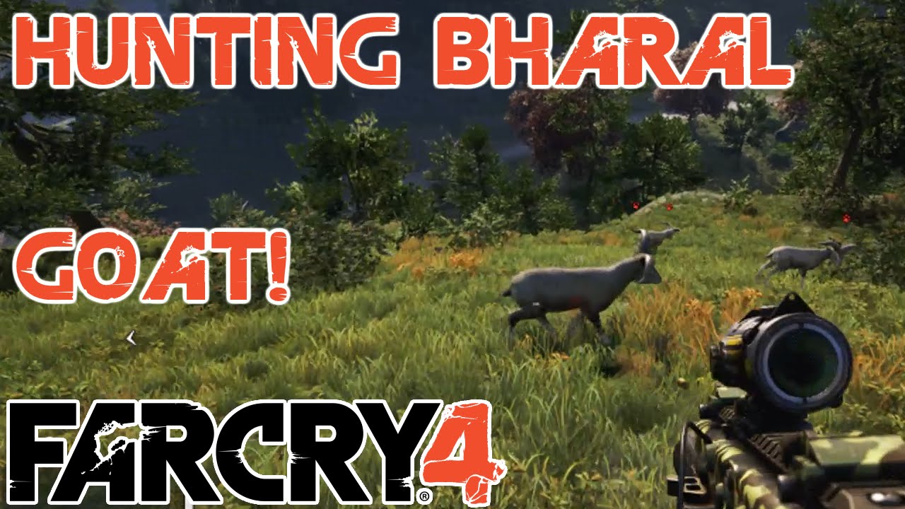 Far Cry 4 Bharal Hunting Location For Bharal Skins Where Are Bharal