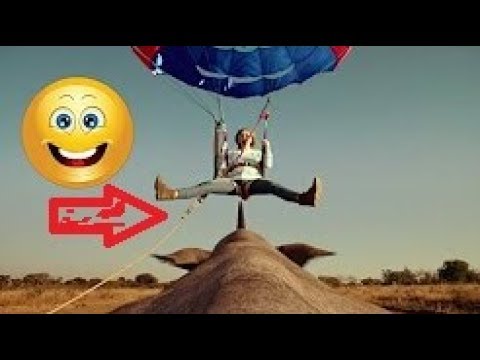 The Best Gifs Compilation Youtube