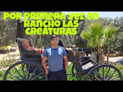 Visitamos Rancho Las Creaturas En Tecate Youtube