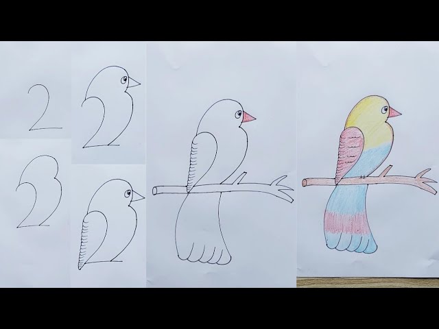 How To Draw Birds Using Numbers