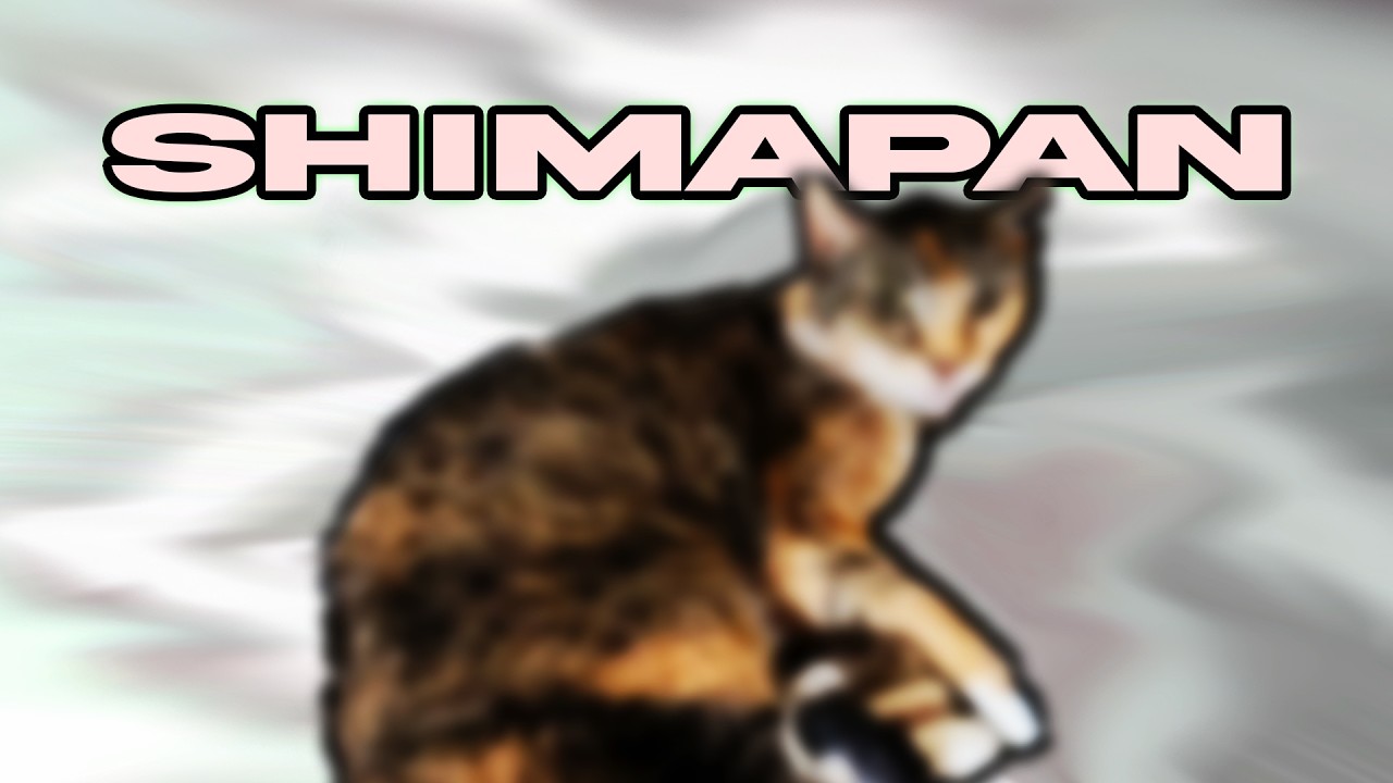 Demolition D Had A Week Shimapan Situation Explained At The End