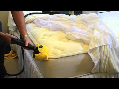 How To Kill Bedbugs With Steam