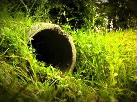 Minuscule S01e21 Youtube