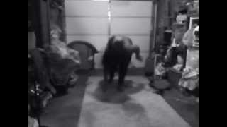 Lumidee Never Leave You Uh Oh Dance Whatyousaykay Mp3 Music & Mp4 video ...