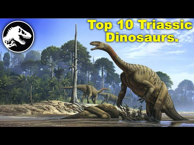 Early Triassic Period Animals Exploring The Triassic Period The Era