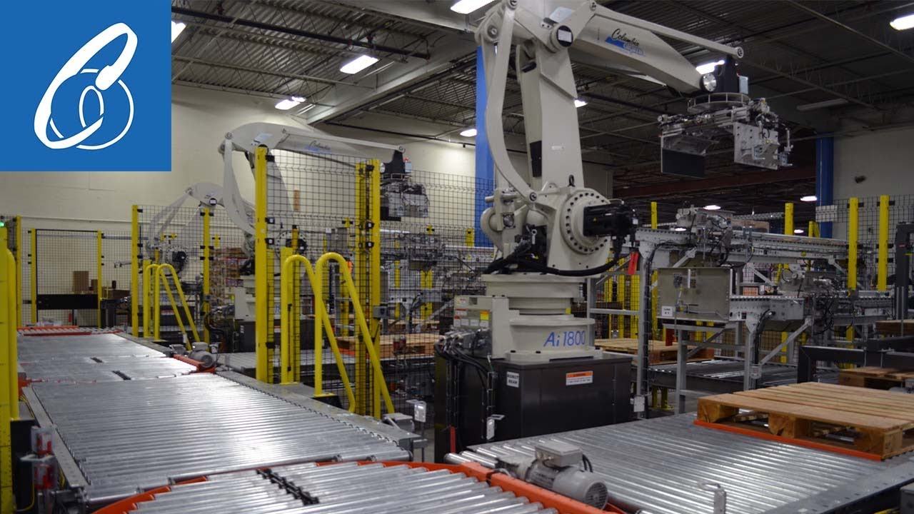 Multi Line Robotic Palletizing System Overhead Youtube