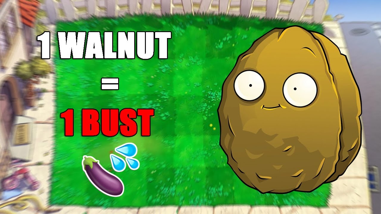 Pvz But Every Time I Place A Wall Nut I Bust A Nut Youtube