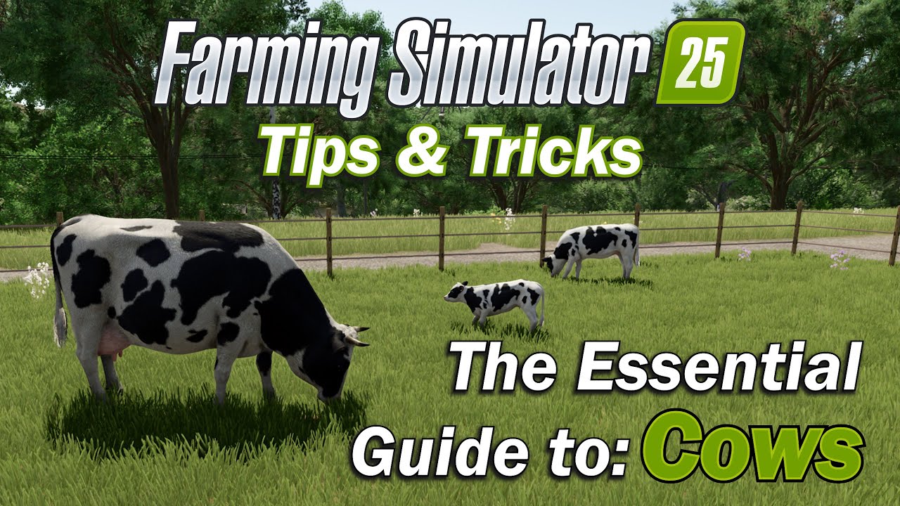 The Essential Guide To Cows In Farming Simulator 25 Youtube
