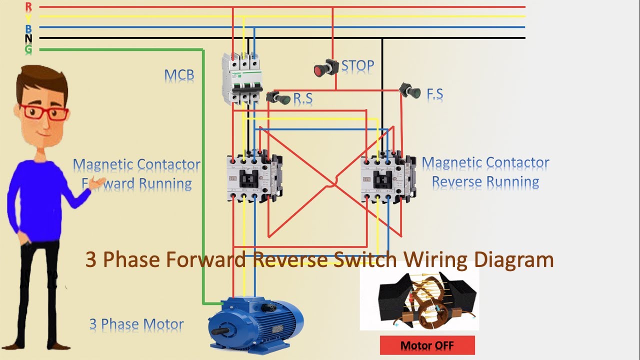 Contactor Wiring For 3 Phase Motor At Evan Olsen Blog