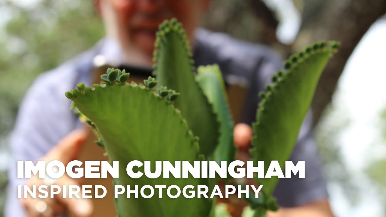 Sam Creates Through Imogen Cunningham S Lens Youtube