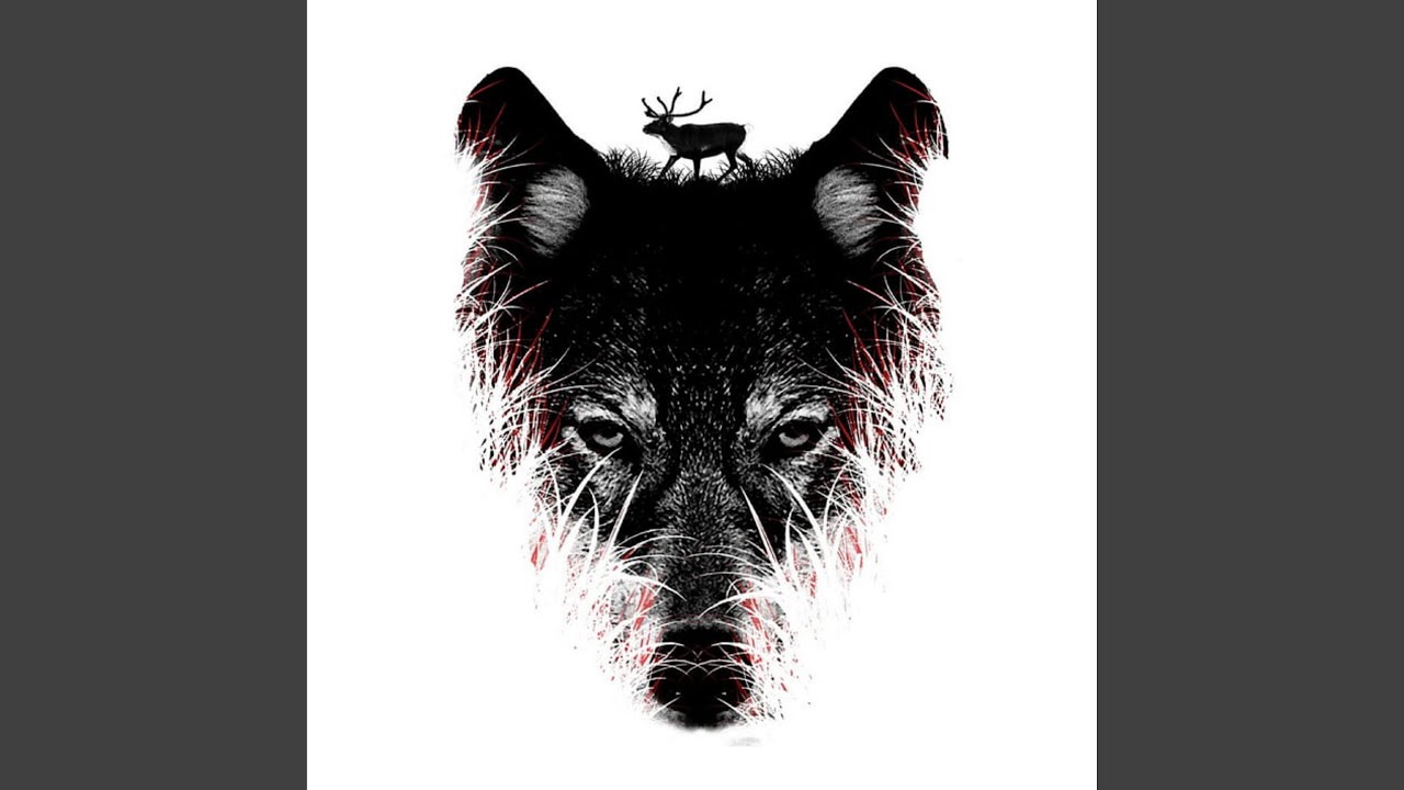 Wolfpackk Youtube Music