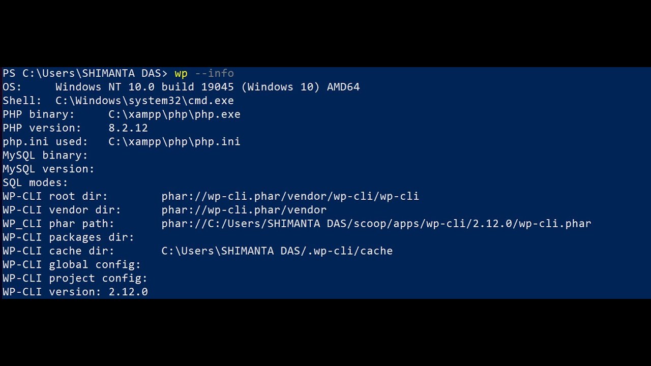 Install Wp Cli Windows In 2 Minute Youtube