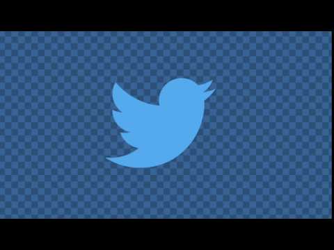 Twitter Bird Flying Logo Animation After Effects Youtube