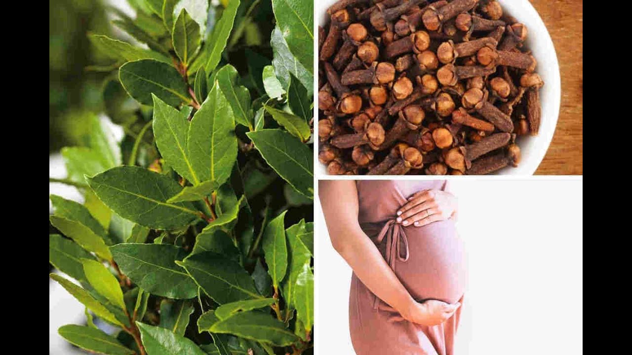 Booster L Ovulation Avec Deux Ingrediens Youtube