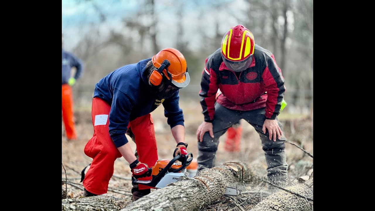 Chainsaw Training Youtube