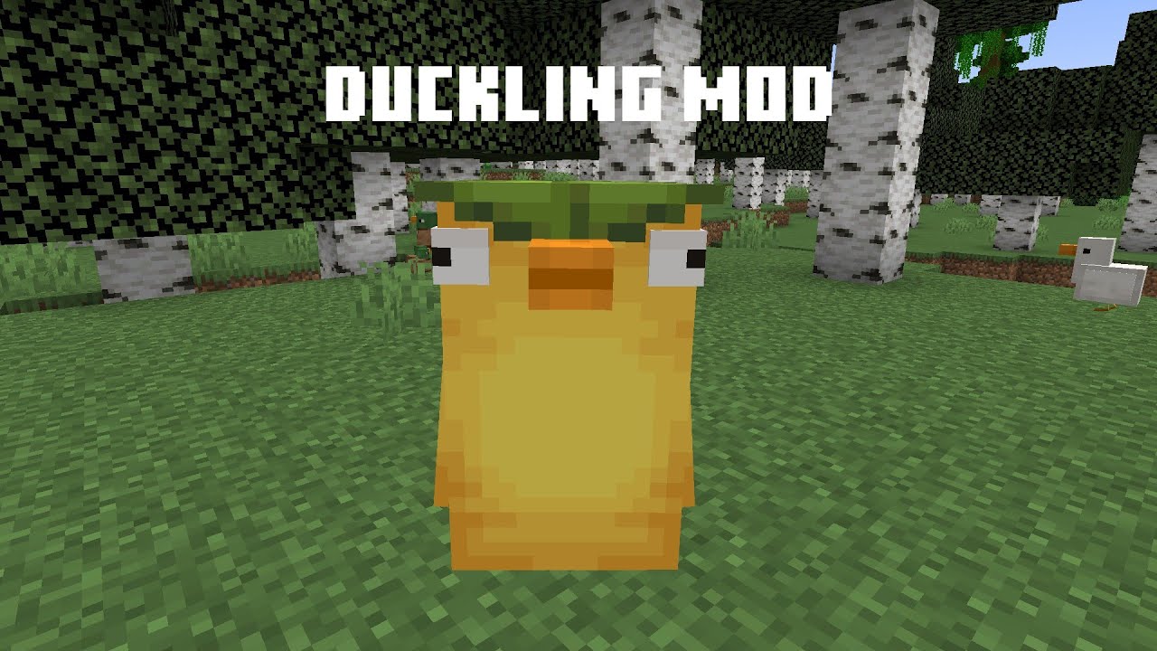 Duckling Mod Youtube