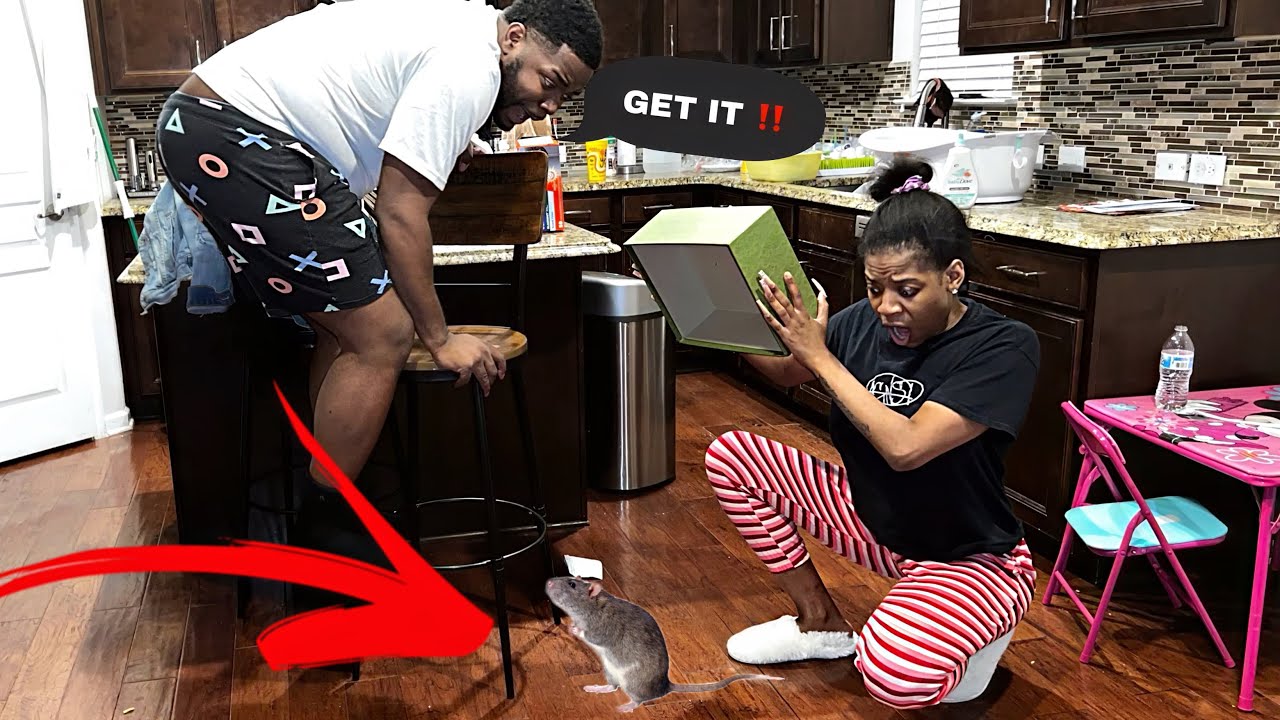 Mouse Prank On My Husband Hilarious Youtube