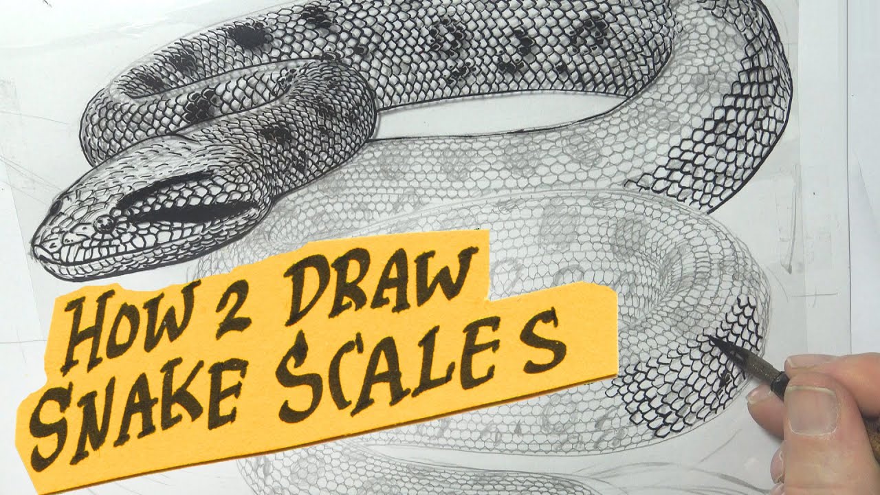 How 2 Draw Snake Scales A Quick Guide Youtube