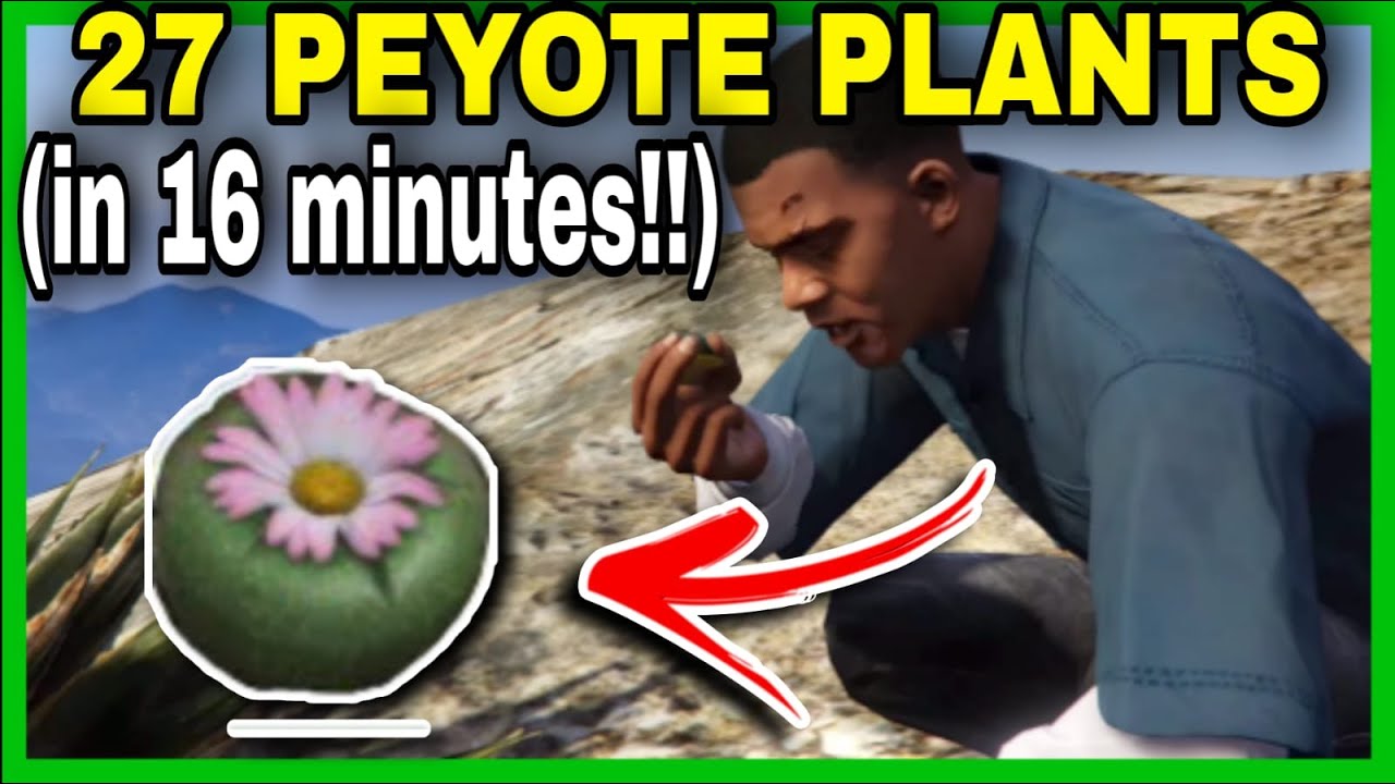 пёџhow To Find All 27 Peyote Plants In Gta 5 All Peyotes Location Gta V