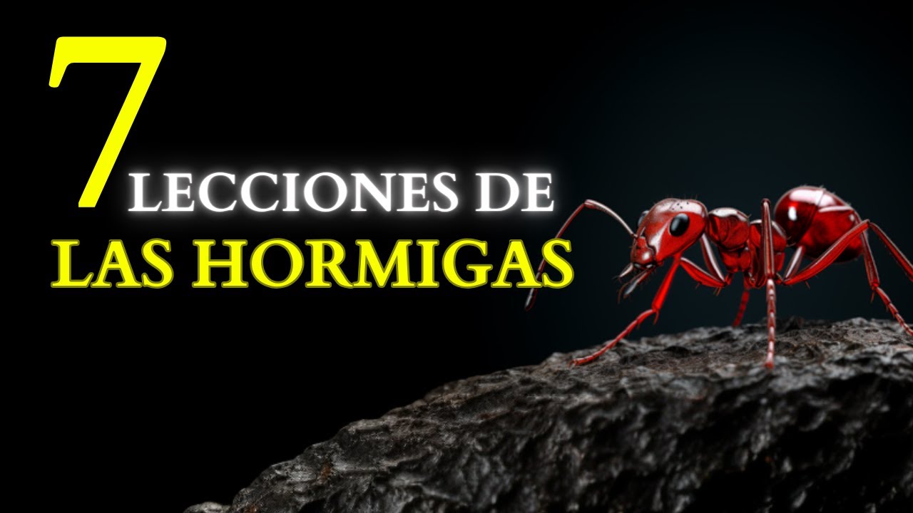 7 Lecciones De Las Hormigas Descubre La Grandeza En Lo Pequeг Oрџњќрџђњ