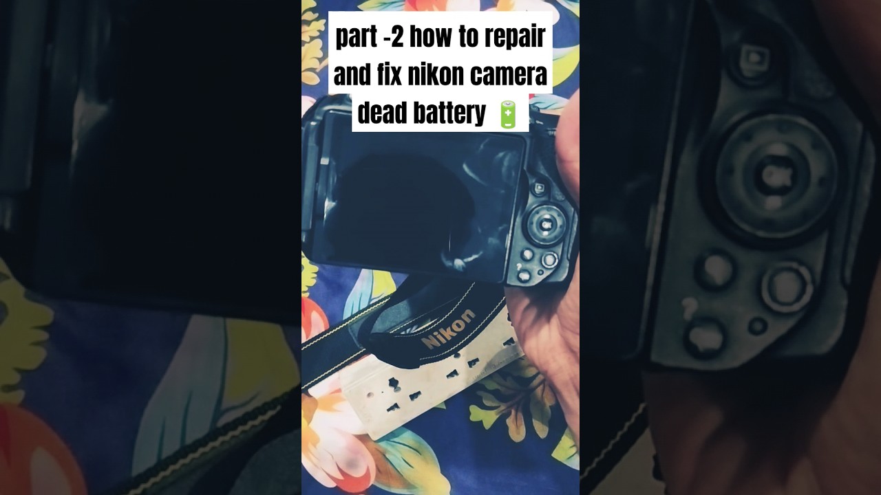 Nikon Dslr Dead At Isabella Embry Blog