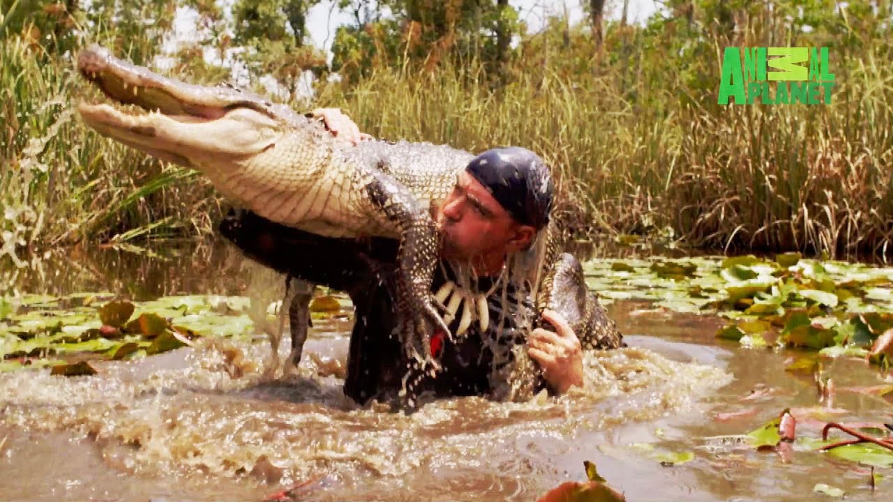 Animal Planet Wild Amazon Documentary