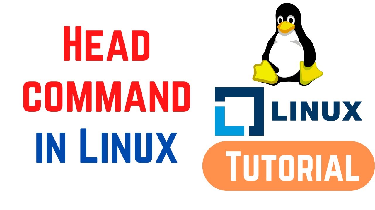 Linux Command Line Basics Tutorials Head Command In Linux With