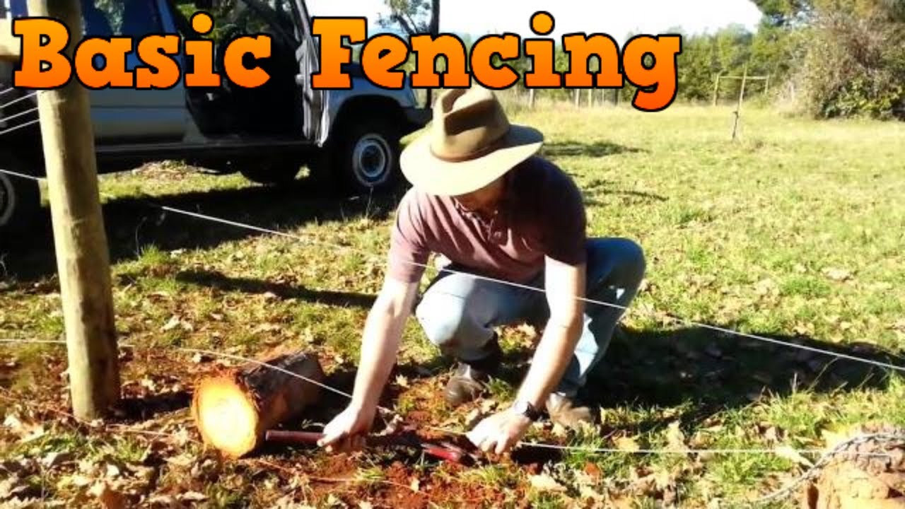Fencing Youtube