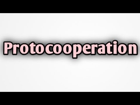 Protocooperation Notes Zoology Youtube