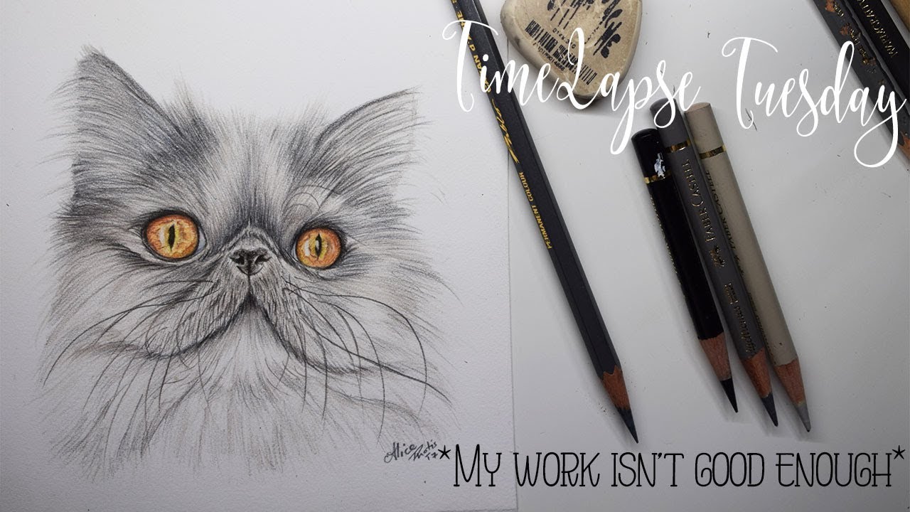 My Art Isn T Good Enough Persian Cat Coloured Pencil Time Lapse