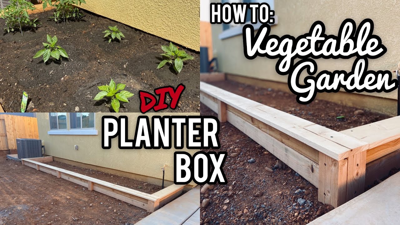 Diy Planter Boxрџњ How To Vegetable Garden For Beginners рџќ рџґ Youtube